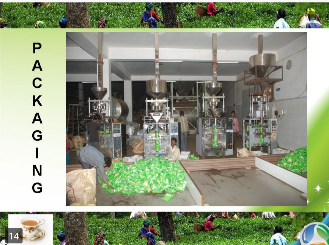 Quality of rcm tea is extraordinary in India.it is acidity free